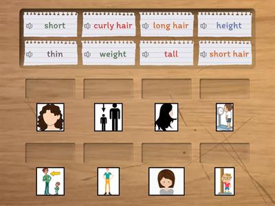 Physical description wordwall - Recursos didácticos