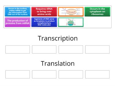 Transcription translation - Teaching resources