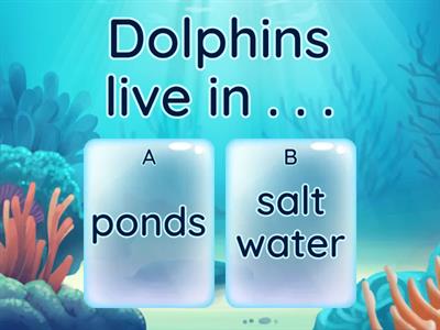 Dolphins - Teaching resources