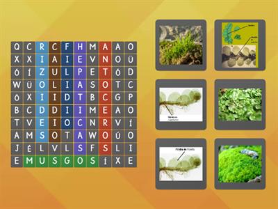 Clasificacion de las plantas - Recursos didácticos