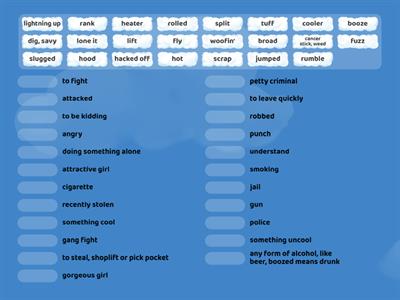 Slang words - Teaching resources