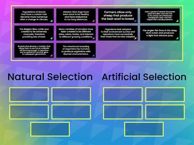 Natural vs artificial selection - Teaching resources