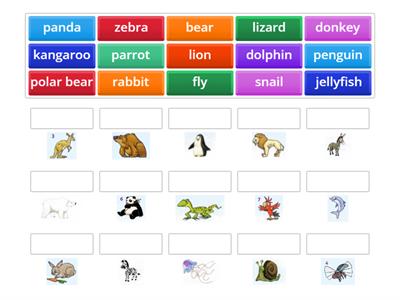 Movers - Teaching resources