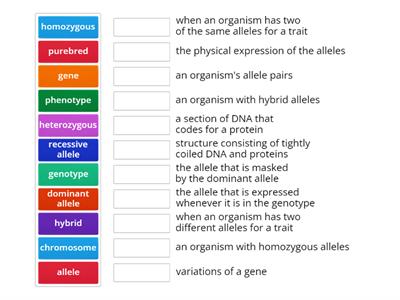 Mendelian inheritance - Teaching resources