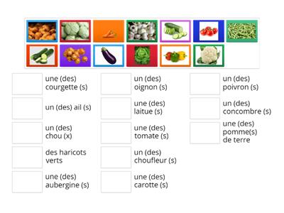 Aliments - Recursos didácticos