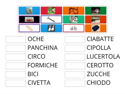 Ce ci che chi - Risorse didattiche