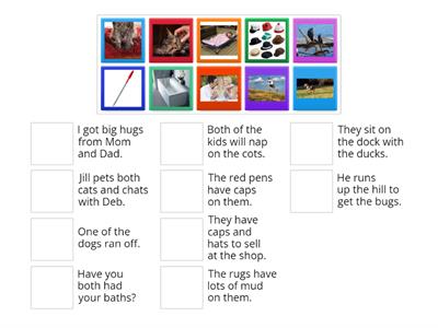 Topic sentence match - Teaching resources