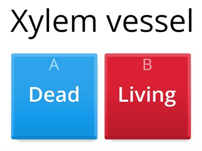 Alive dead or never alive - Teaching resources