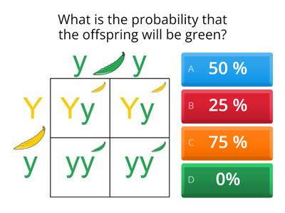 Punnett square - Teaching resources