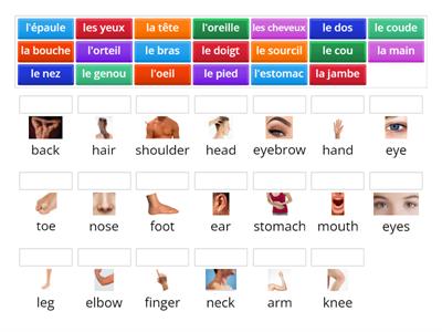 Les parties du corps - Teaching resources