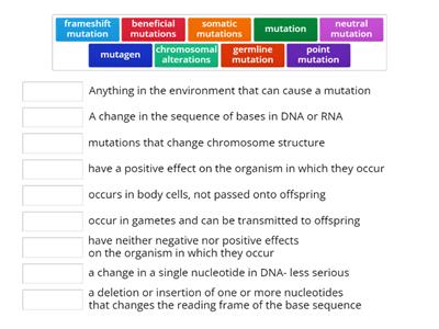 Mutations - Teaching resources