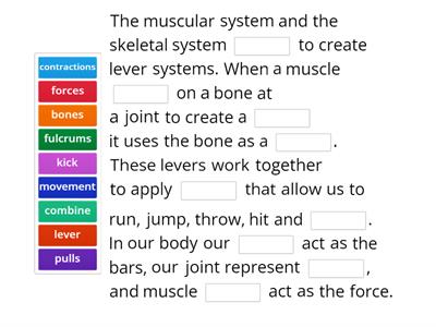 Muscular skeletal - Teaching resources
