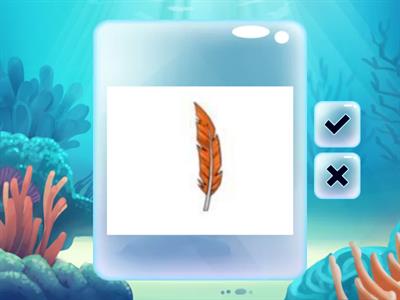 French Body parts - Teaching resources