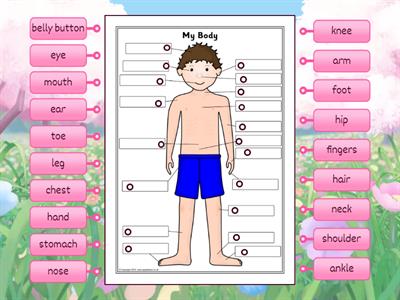 English Parts of the body - Teaching resources
