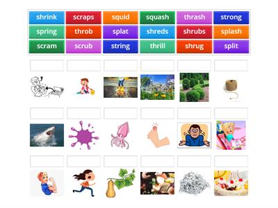 Str scr spl squ spr - Teaching resources