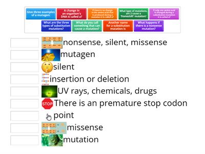 Mutations - Teaching resources