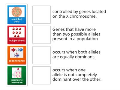 Mendelian inheritance - Teaching resources