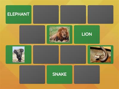 Wordwall wild animals - Recursos de ensino