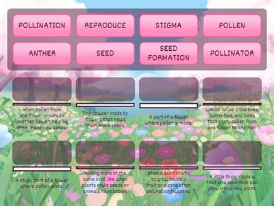 Pollination - Teaching resources