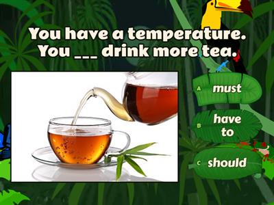 Have to should must - Teaching resources