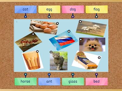 Spotlight alphabet a z - Учебные ресурсы