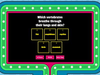 Vertebrates - Teaching resources