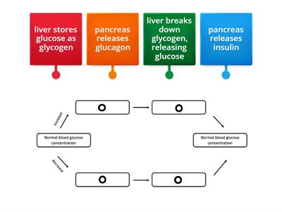 Blood - Teaching resources