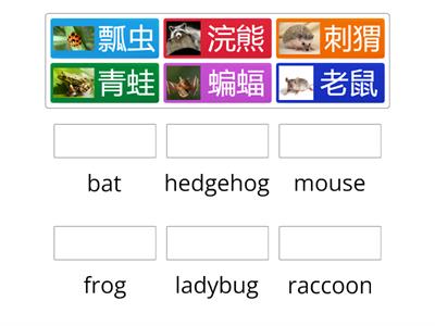 Hibernation migration - Teaching resources