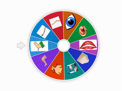 Dijelovi tijela - Nastavne aktivnosti