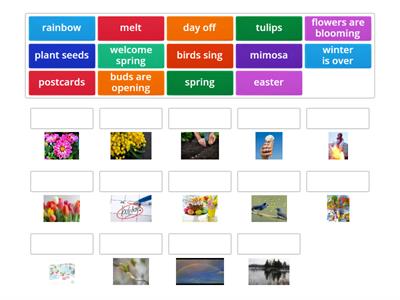 Spring wordwall - Учебные ресурсы