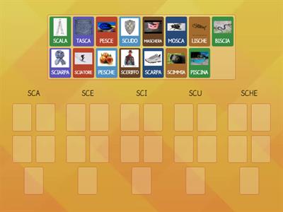 Sche e schi - Risorse didattiche