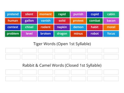 Rabbit camel tiger words - Teaching resources