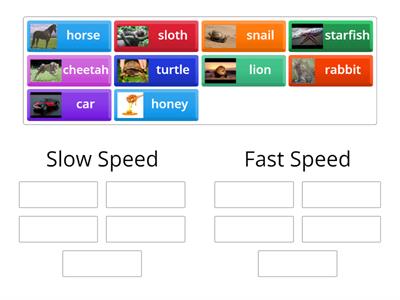 Fast slow - Teaching resources