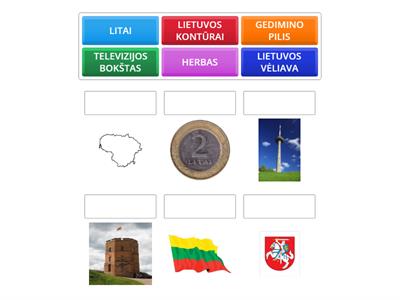 Lietuvos simboliai - Mokymo ištekliai