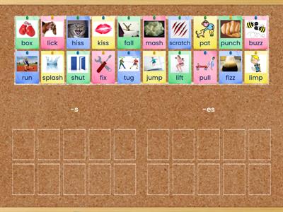 Verb s es - Teaching resources