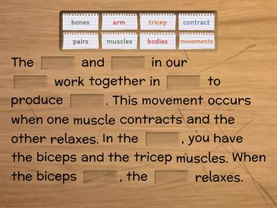 Skeleton muscles - Teaching resources