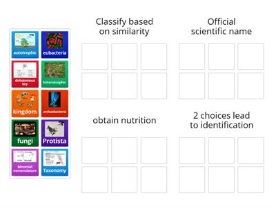 Taxonomy - Teaching resources