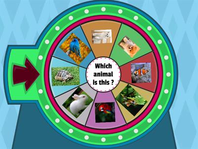 Pets - Öğretim kaynakları