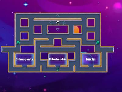 Gas exchange - Teaching resources