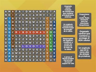 Organelos celulares - Recursos didácticos