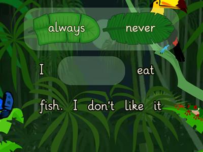 Always usually sometimes never - Teaching resources