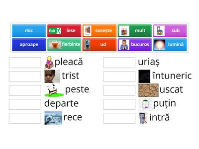 Cuvinte sens opus - Resurse didactice