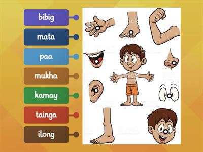 Kindergarten Bahagi ng katawan para sa - Aktibidad sa pagtuturo