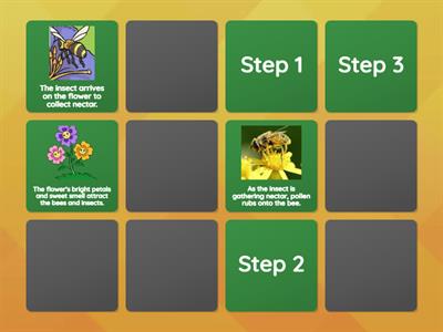 Pollination - Teaching resources