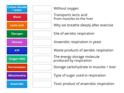 Respiration - Teaching resources