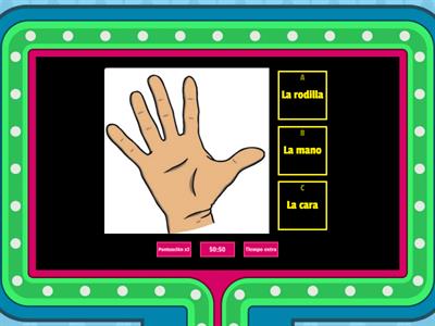 Partes del cuerpo - Teaching resources