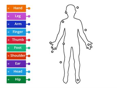 English Parts of the body - Teaching resources