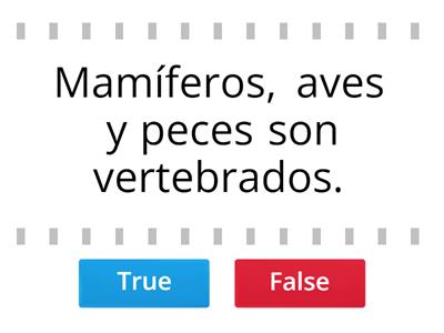 Mamiferos anfibios reptiles peces y aves - Recursos didácticos