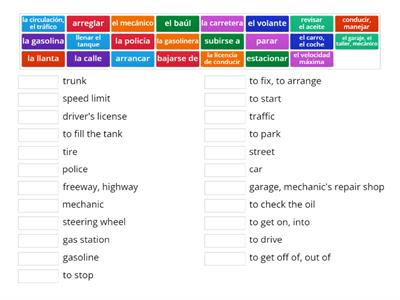 Vocabulario leccion 5 senderos 2 - Teaching resources