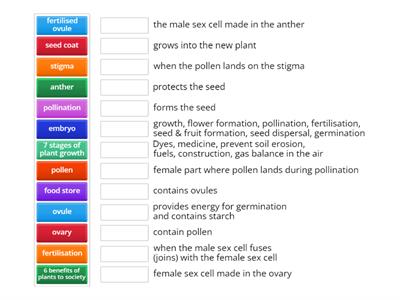 Plants - Teaching resources